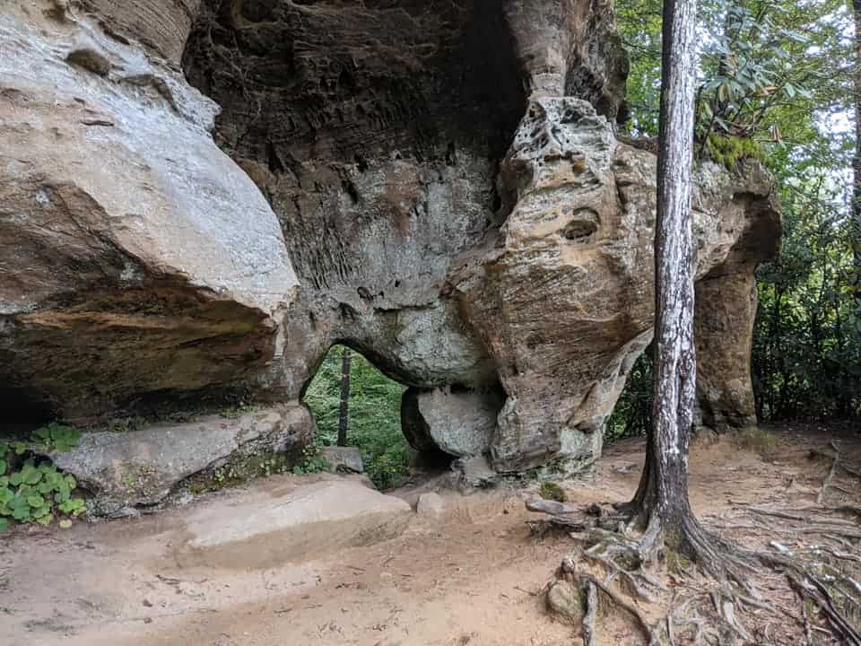 Red River Gorge in Kentucky | Pennies, Places, and Paws