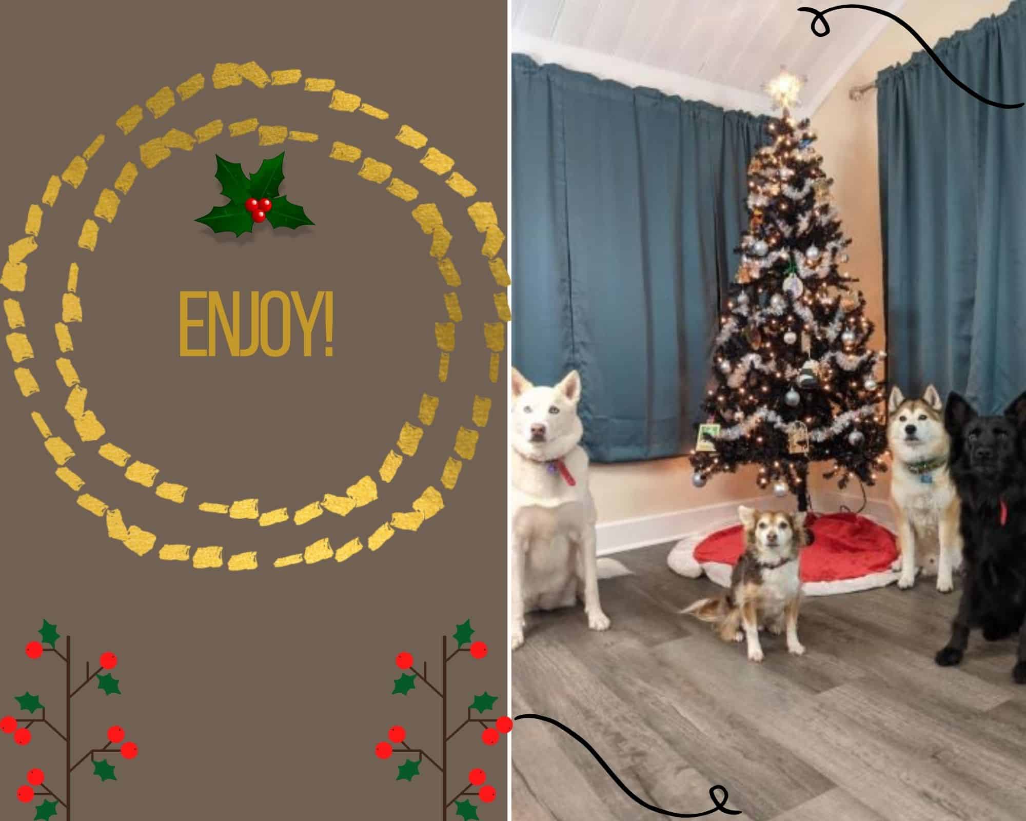 Tips on Having a Dog and a Christmas Tree | Pennies, Places, and Paws