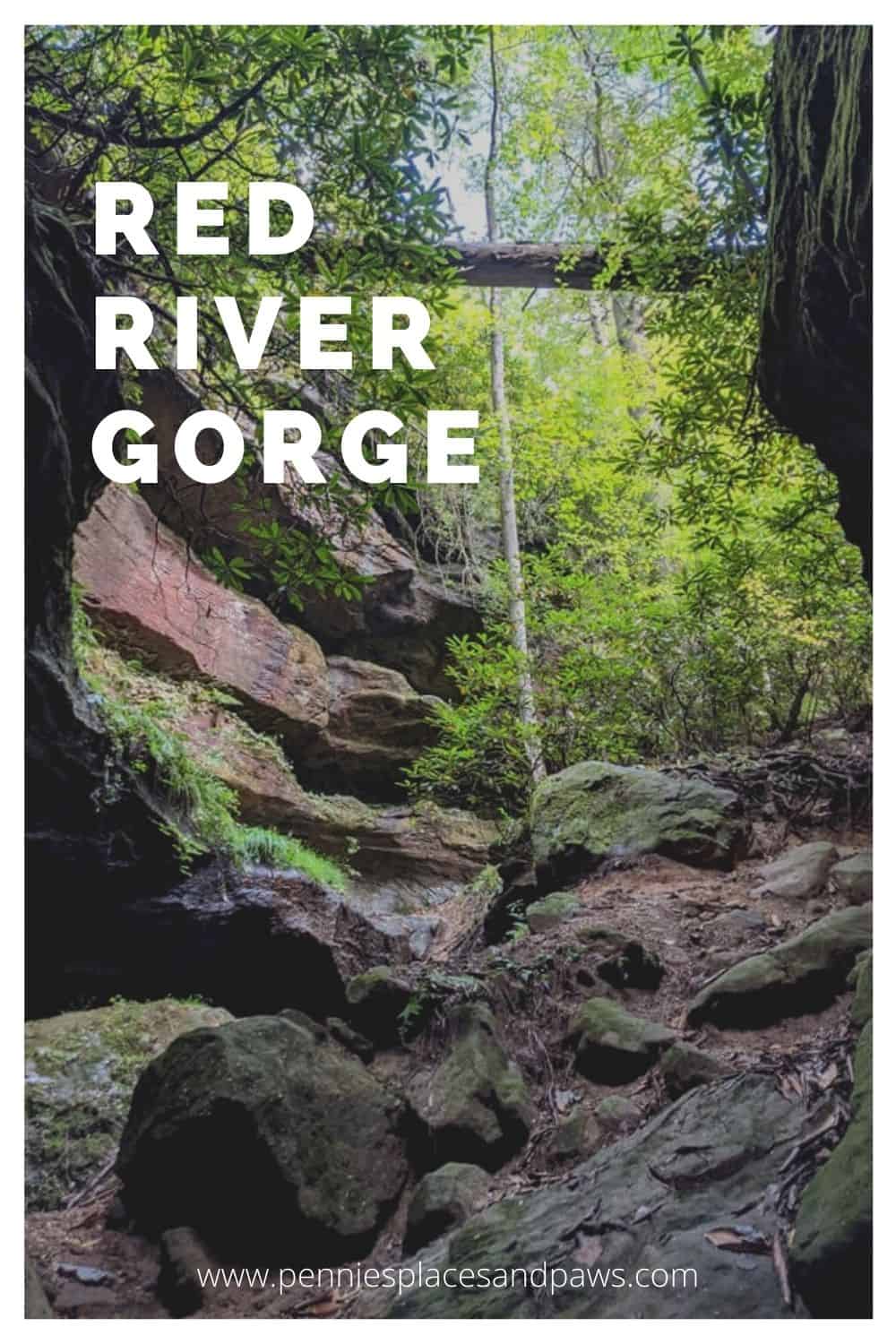 Red River Gorge in Kentucky | Pennies, Places, and Paws