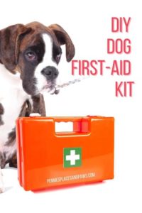 How to Create a First Aid Kit for Dogs | Pennies, Places, and Paws