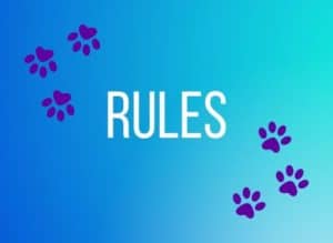 Tips for Planning a Dog Party | Pennies, Places, and Paws