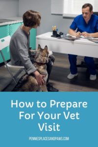 How To Prepare for Your Vet Visit | Pennies, Places, and Paws