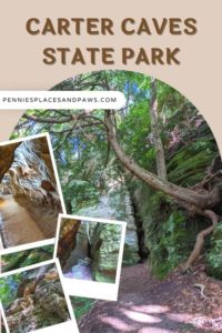 Visit Carter Caves Resort State Park | Pennies, Places, and Paws