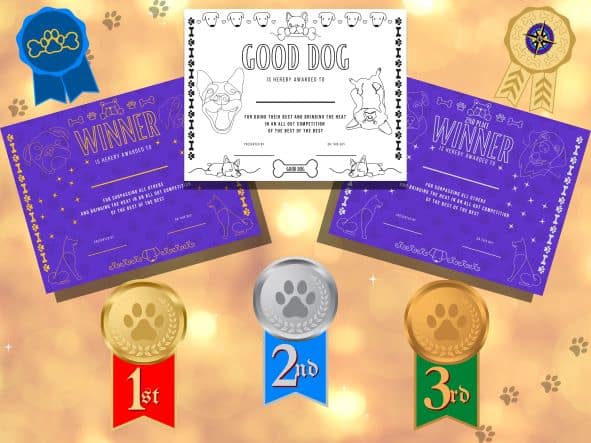 The Best Dog Party Games For Your Next Event | Pennies, Places, and Paws
