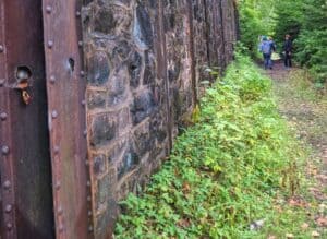 Paws & Picks: Unleash Adventure at the Adventure Mining Company ...