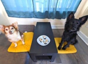 DIY Sushi for Dogs: Create Tasty and Nutritious Sushi Treats for Your ...