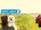 How to Use the Restroom while Road-Tripping with a Dog | Pennies ...