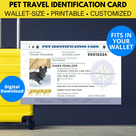 Pet ID Card for Travel | Pennies, Places, and Paws
