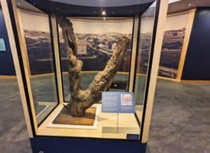 Visit Dog-friendly Gettysburg National Military Park | Pennies, Places ...