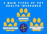 Dog Insurance: A Simple Way to Protect Your Furry Family Member or a ...